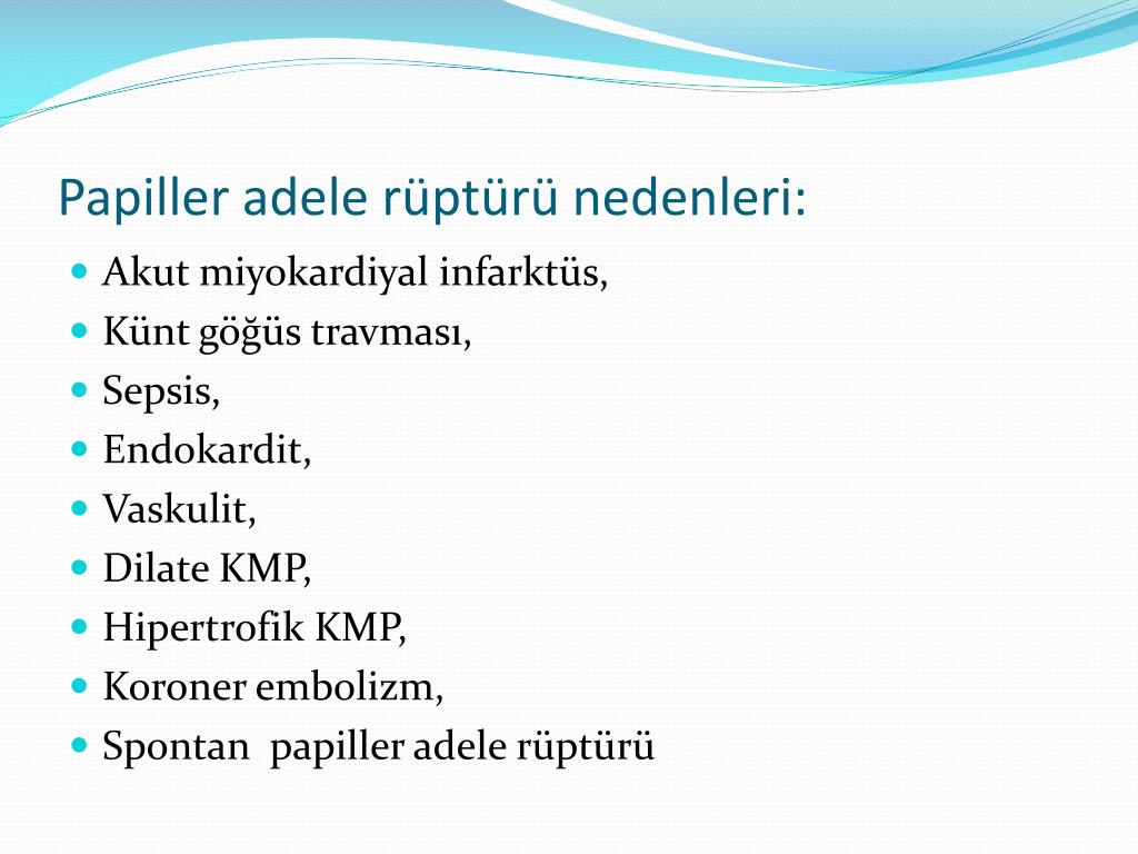 PPT - Perkutan Mitral Kapak Tamir Uygulamaları PowerPoint Presentation ...