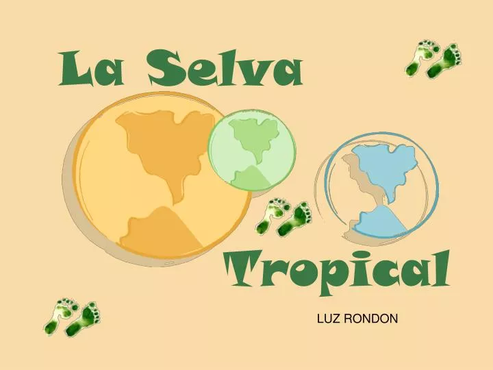 PPT - La Selva PowerPoint Presentation, free download - ID:1920010