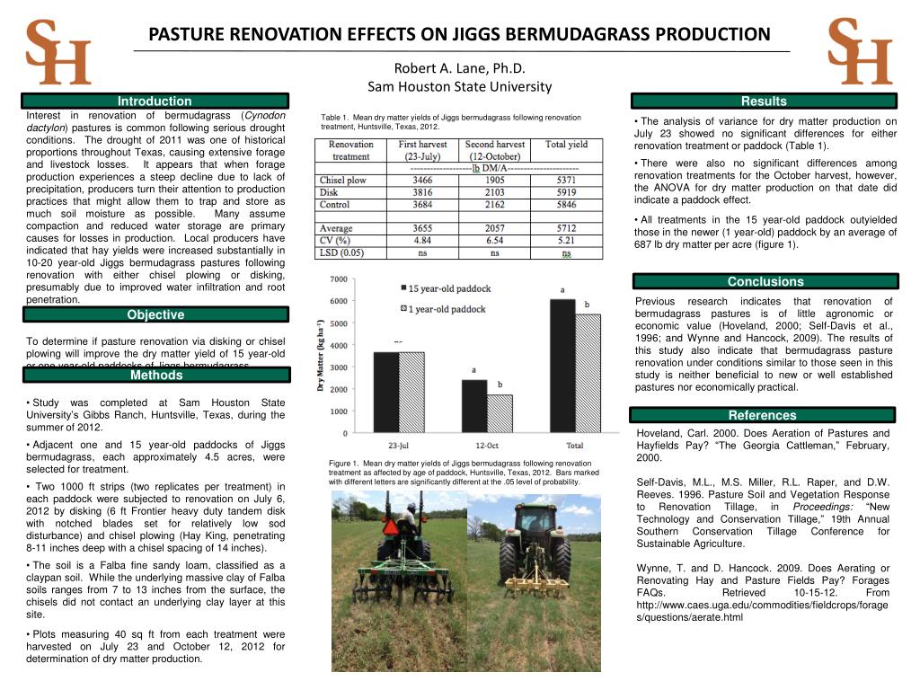 PPT - Effects of Pasture Renovation on Jiggs Bermudagrass Production in ...
