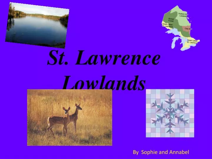 PPT - St. Lawrence Lowlands PowerPoint Presentation, free download - ID ...