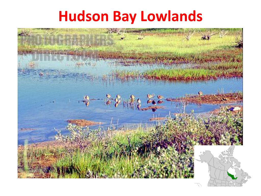 PPT - Picture Tour of Canada’s Landform Regions PowerPoint Presentation ...