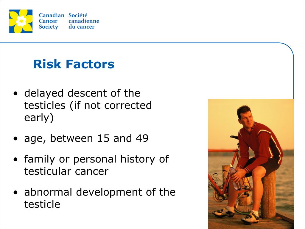 Ppt Fight Testicular Cancer Powerpoint Presentation Free Download