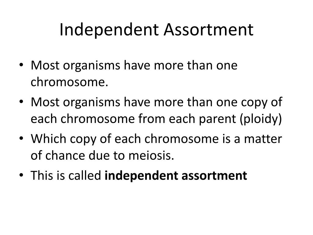 PPT - Meiosis and Sexual Reproduction PowerPoint Presentation, free ...