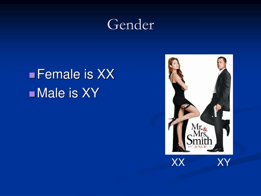 PPT - Cell Division Mitosis and Meiosis PowerPoint Presentation, free ...