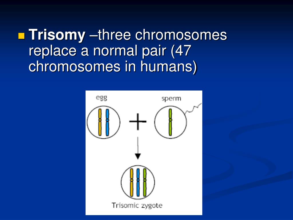 PPT - Cell Division Mitosis and Meiosis PowerPoint Presentation, free ...