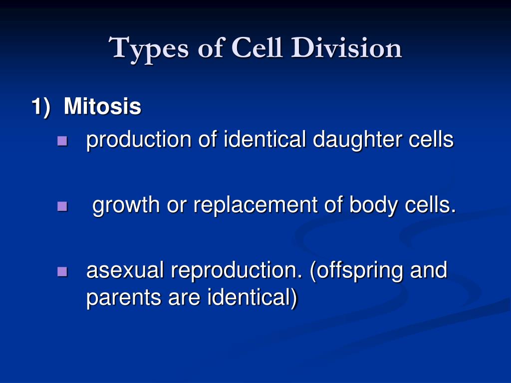 PPT - Cell Division Mitosis and Meiosis PowerPoint Presentation, free ...