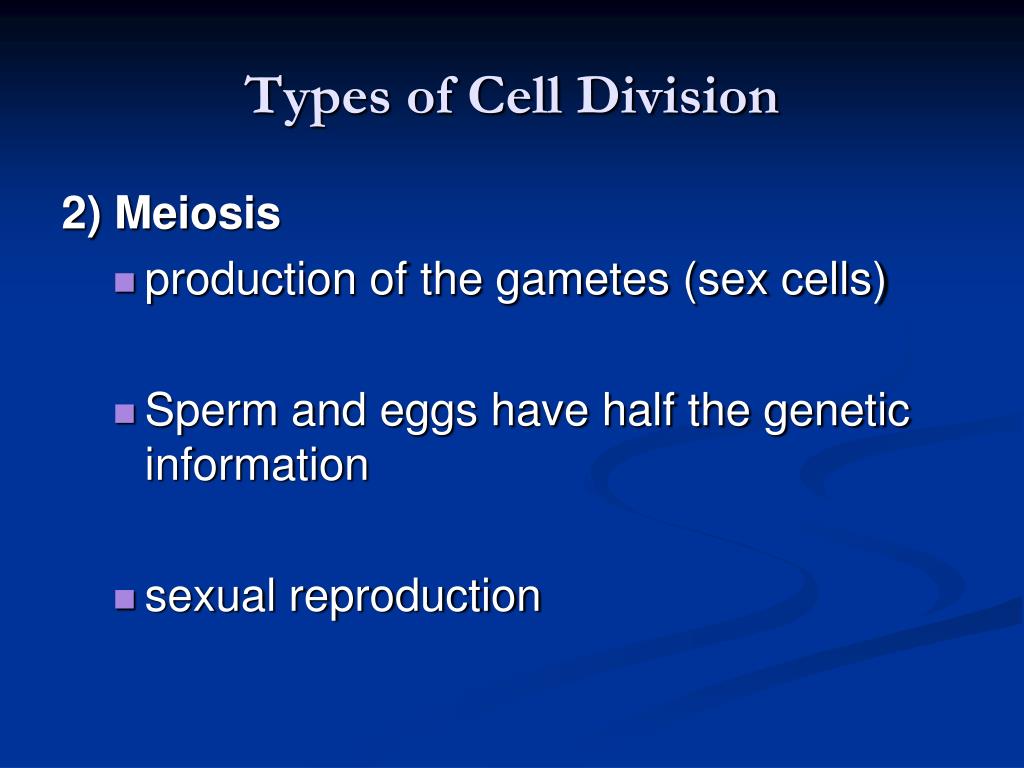 PPT - Cell Division Mitosis and Meiosis PowerPoint Presentation, free ...