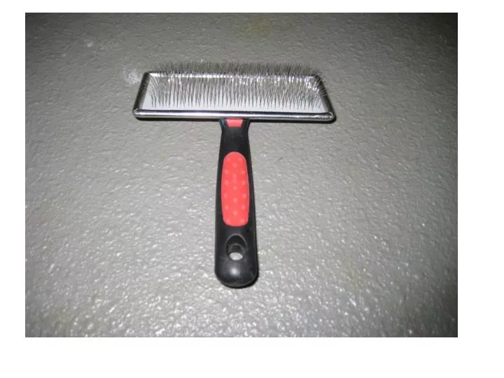 PPT - Answer Key PowerPoint Presentation, free download - ID:1921237