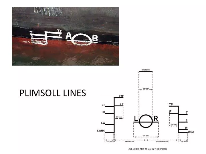 PPT - PLIMSOLL LINES PowerPoint Presentation, free download - ID:1921263