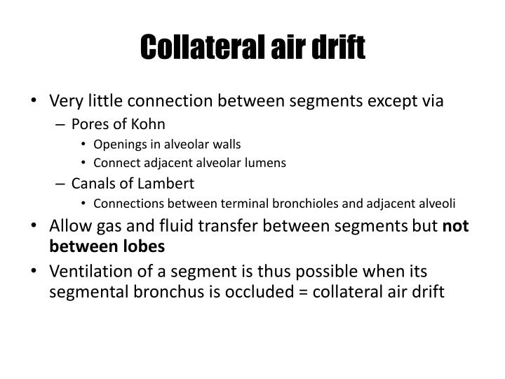 PPT - Lung Anatomy PowerPoint Presentation - ID:1921812