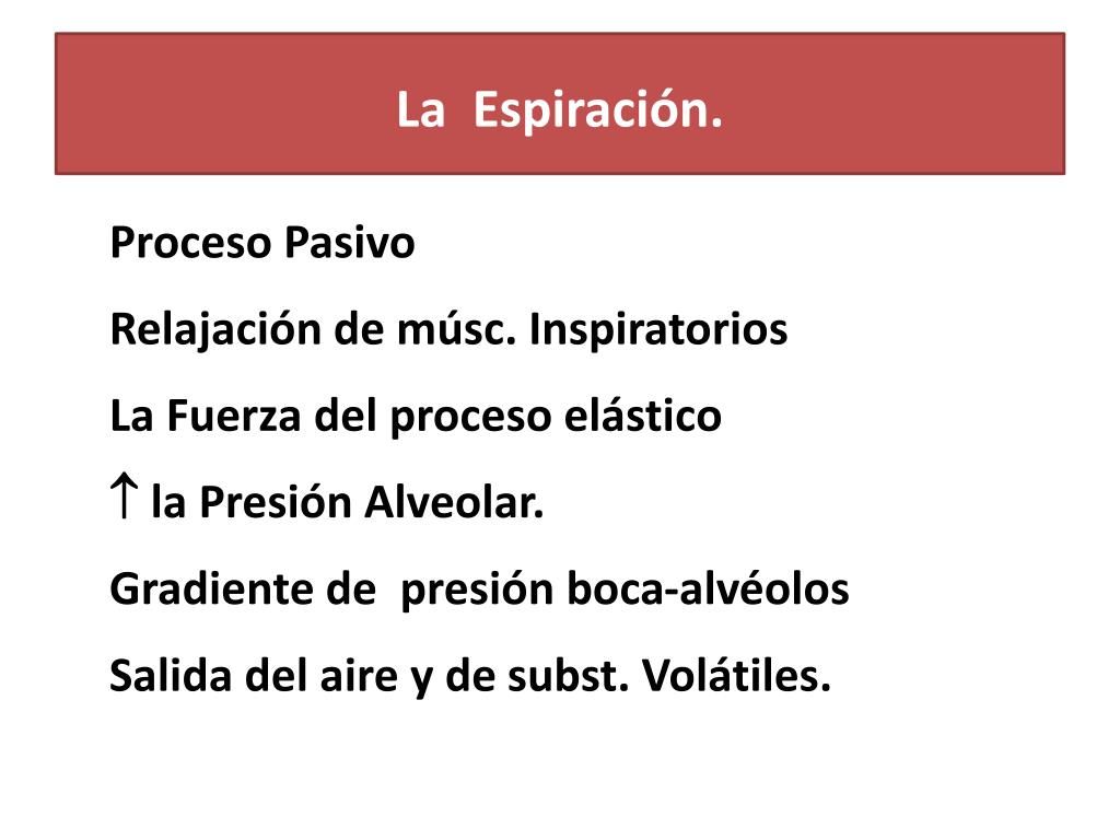 PPT - Anatomía y Fisiología del Aparato Respiratorio PowerPoint ...