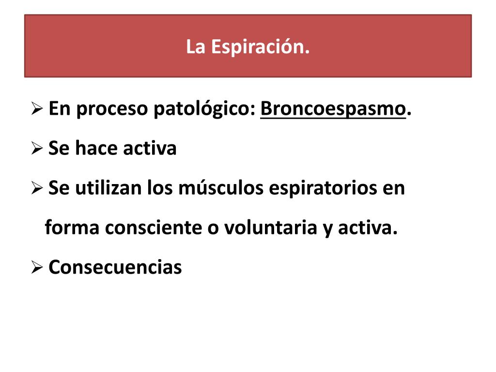 PPT - Anatomía y Fisiología del Aparato Respiratorio PowerPoint ...