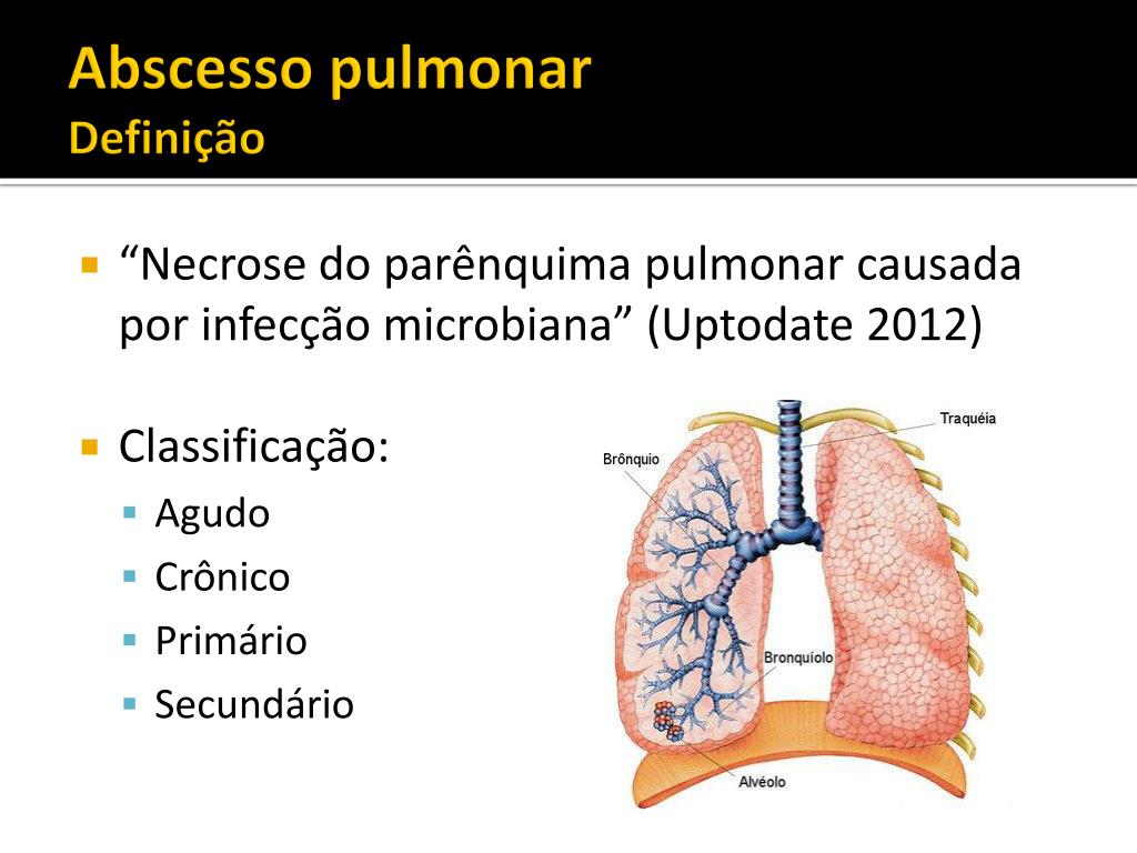 PPT - Fisiopatologia e indicações cirúrgicas nas Infecções Pleuro ...