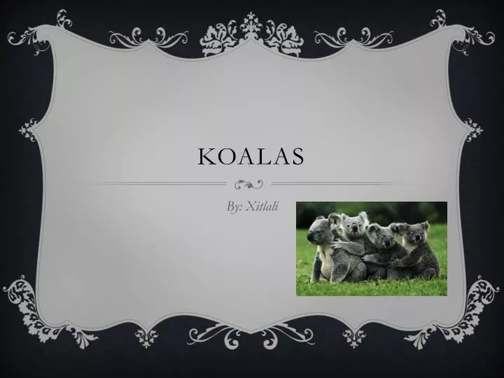 PPT - Koalas PowerPoint Presentation, free download - ID:1922630