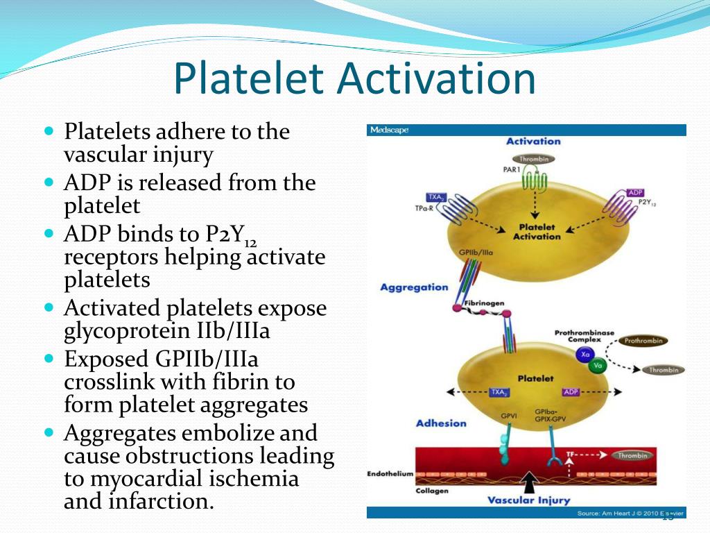 PPT - National Clinical Guidelines: An Update in Coronary Artery ...