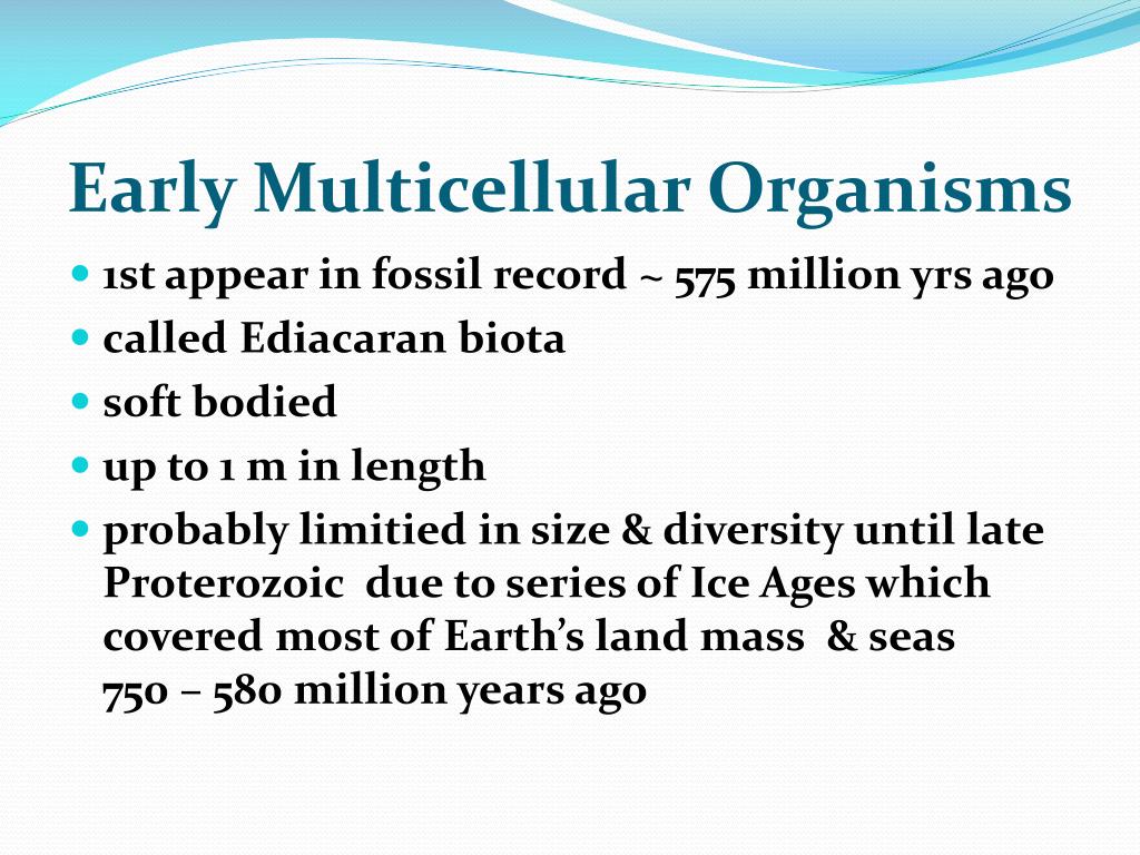 PPT - AP BIOLOGY THE HISTORY of EARTH PowerPoint Presentation, free ...