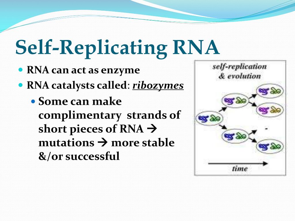 PPT - AP BIOLOGY THE HISTORY of EARTH PowerPoint Presentation, free ...