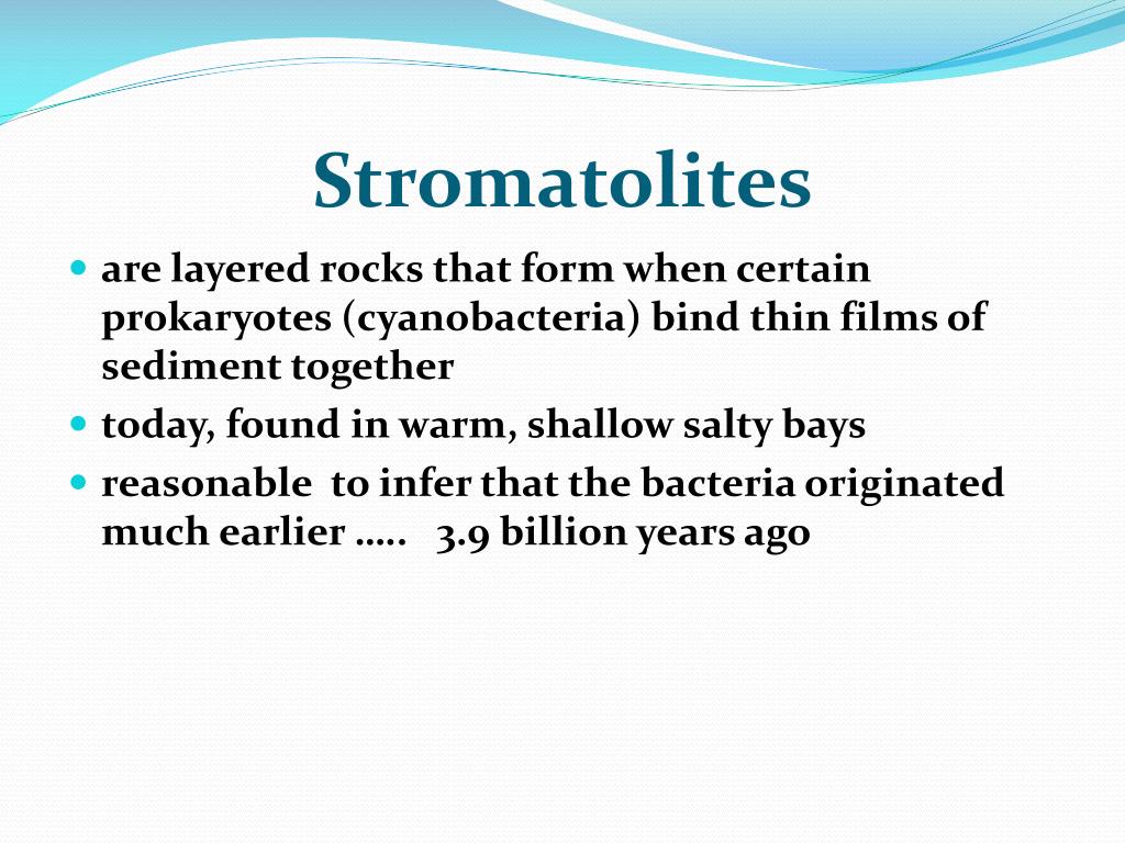 PPT - AP BIOLOGY THE HISTORY of EARTH PowerPoint Presentation, free ...