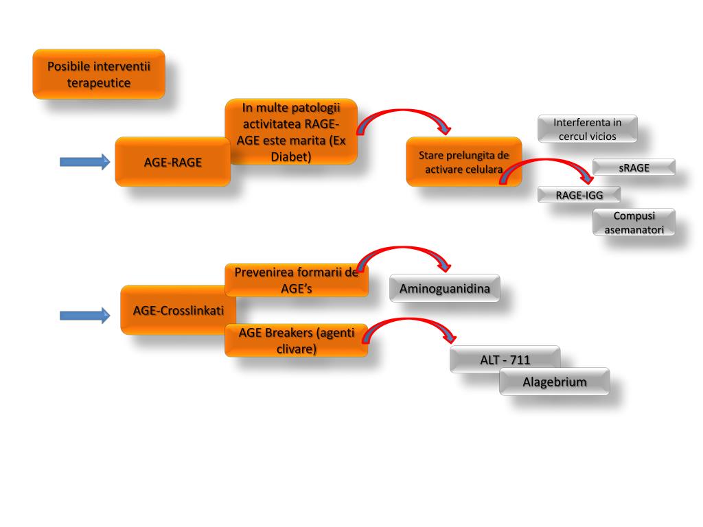 PPT - Mecanisme celulare ligand – receptor AGE-RAGE PowerPoint ...