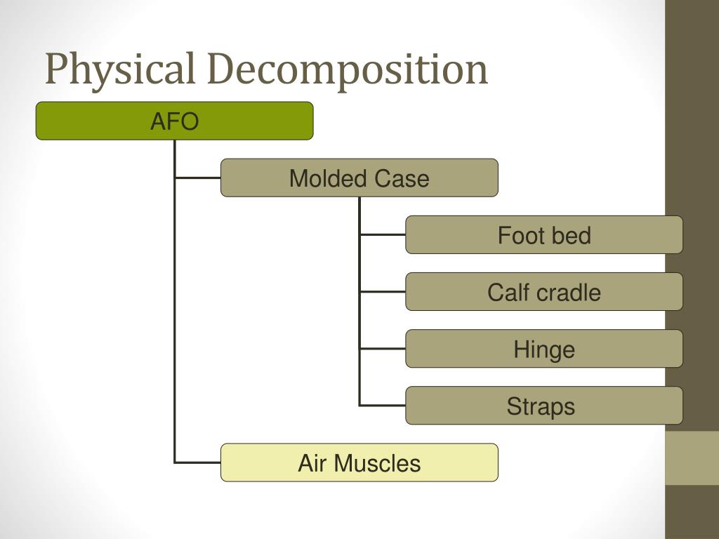 PPT - P13001 Active Ankle Foot Orthotic: Air Muscle Tethered PowerPoint ...