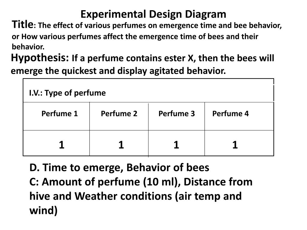 PPT - Experimental Design Diagram PowerPoint Presentation, free ... PPT - Experimental Design Diagram PowerPoint Presentation, free ...