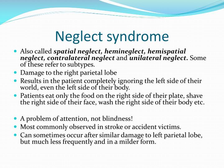 PPT - Brain function – the evidence from brain damage PowerPoint ...