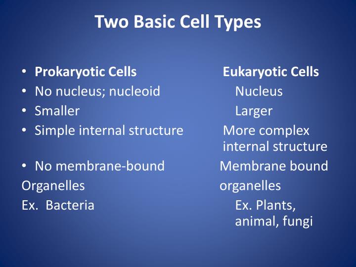 PPT - 1.3 Cell Structures PowerPoint Presentation - ID:1923761