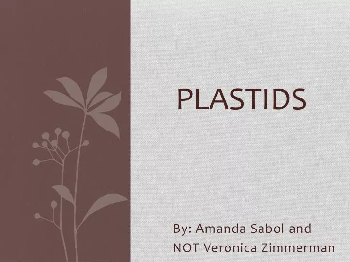 PPT - Plastids PowerPoint Presentation, free download - ID:1923855