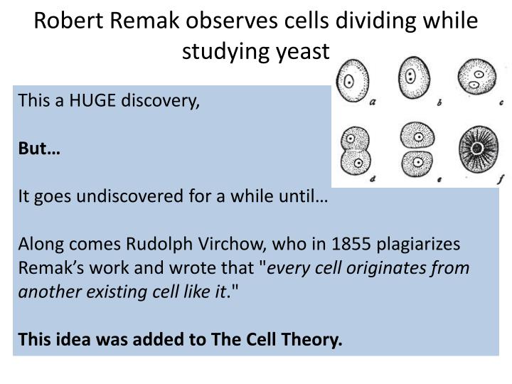 PPT - 7 th Microscopy and the Development of Cell Theory PowerPoint ...