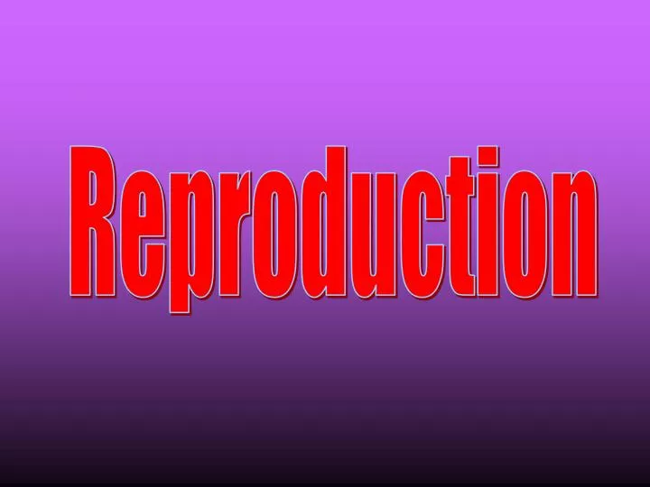 PPT - Reproduction PowerPoint Presentation, free download - ID:1924412