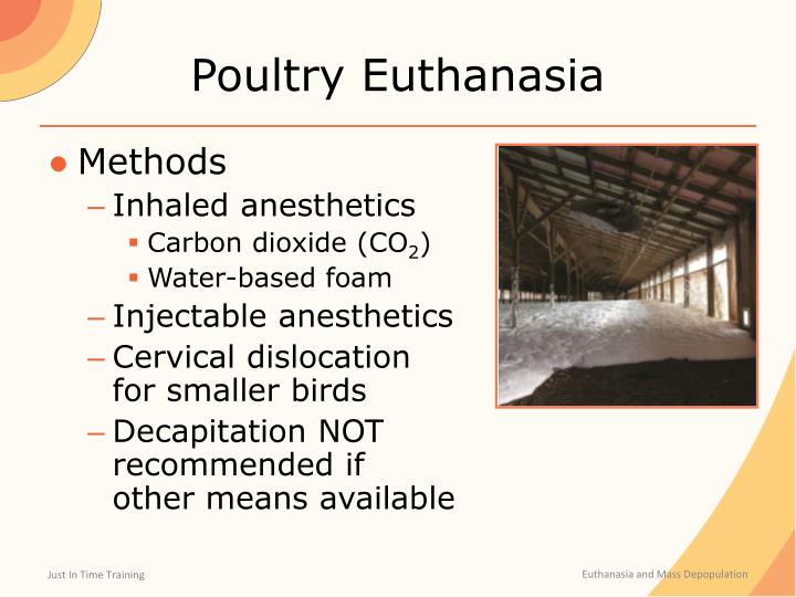 PPT - Euthanasia and Mass Depopulation During Animal Health Emergencies ...