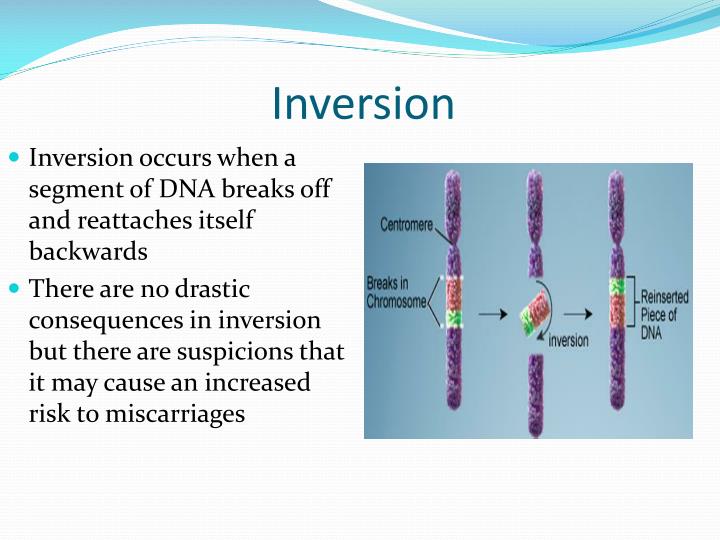 PPT - Errors and Exceptions in Chromosomal Inheritance PowerPoint ...