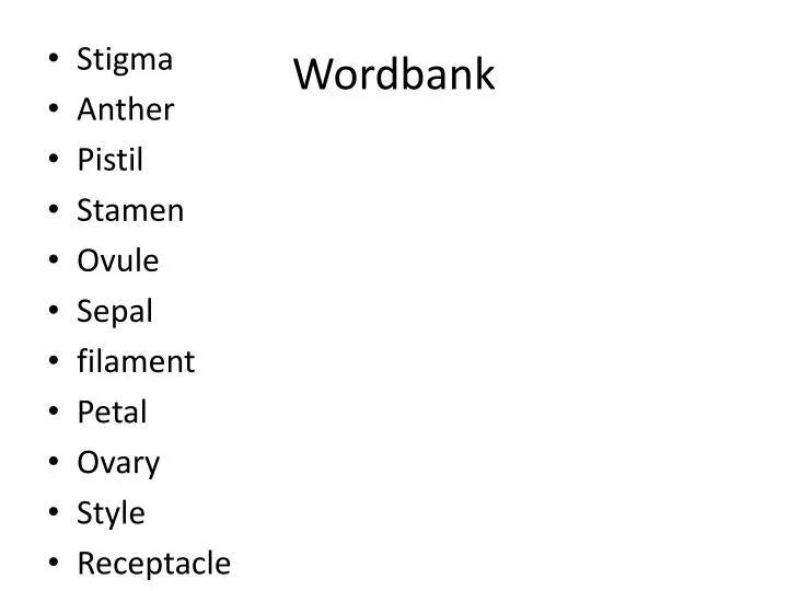 PPT - Wordbank PowerPoint Presentation, free download - ID:1924618
