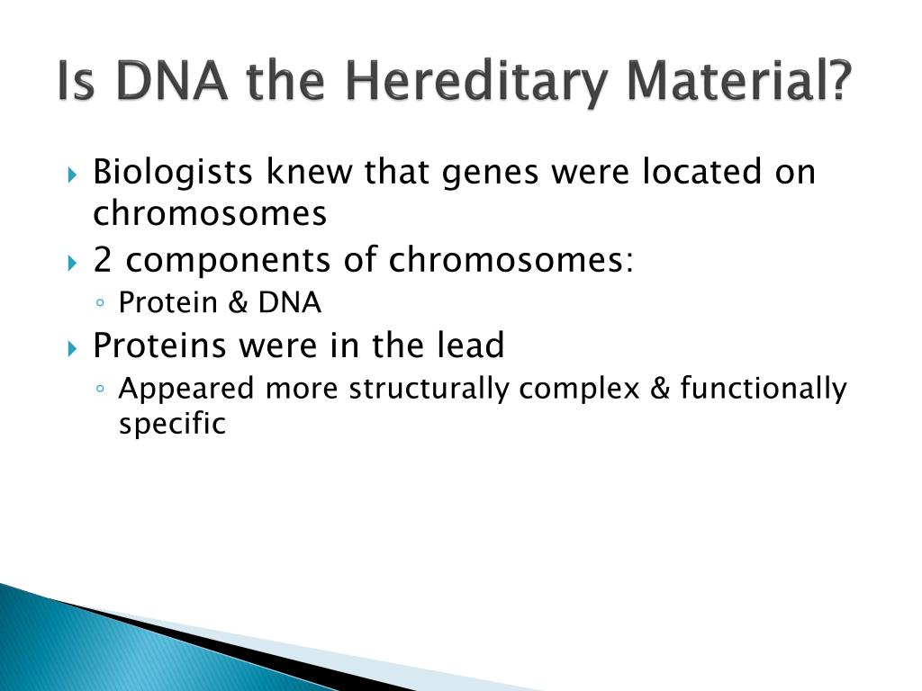 PPT - Molecular Biology of the Gene PowerPoint Presentation, free ...