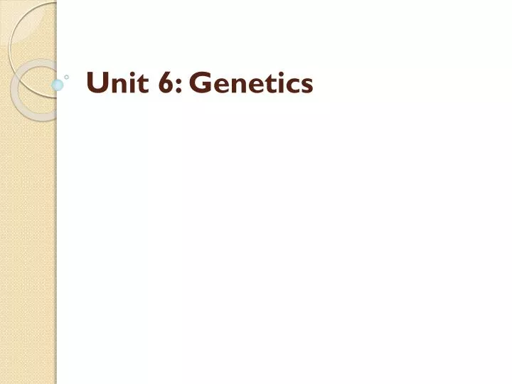 PPT - Unit 6: Genetics PowerPoint Presentation, free download - ID:1924728