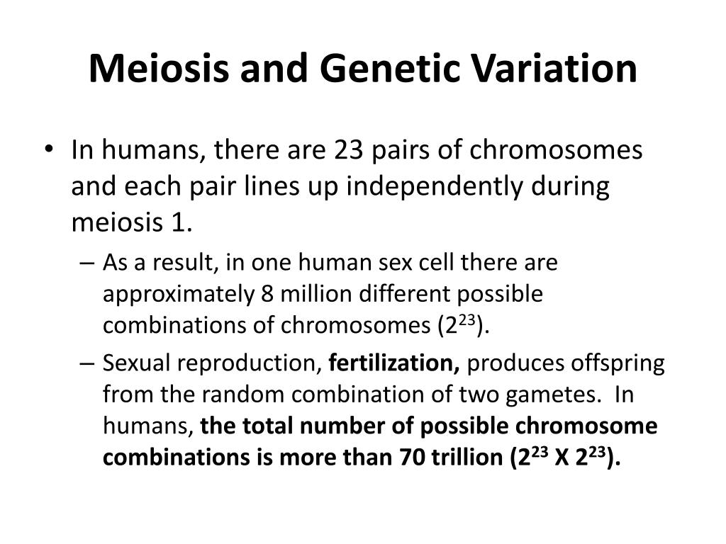Ppt Meiosis And Genetic Variation Powerpoint Presentation Free