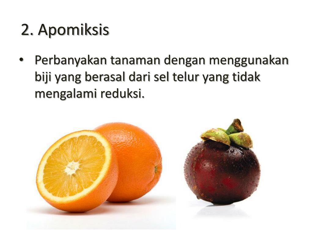 PPT - CO RAK PERKEMBANGBIAKAN TANAMAN PowerPoint Presentation, free ...