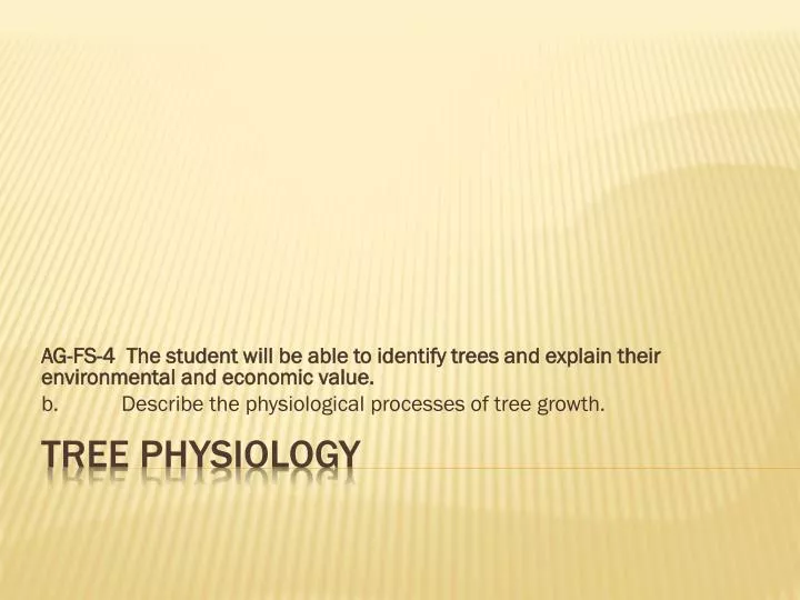 PPT - Tree Physiology PowerPoint Presentation, free download - ID:1924818