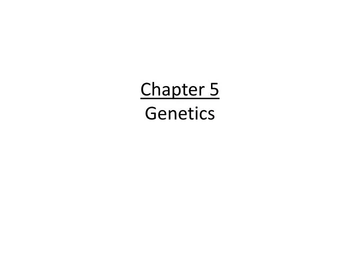 PPT - Chapter 5 Genetics PowerPoint Presentation, free download - ID ...