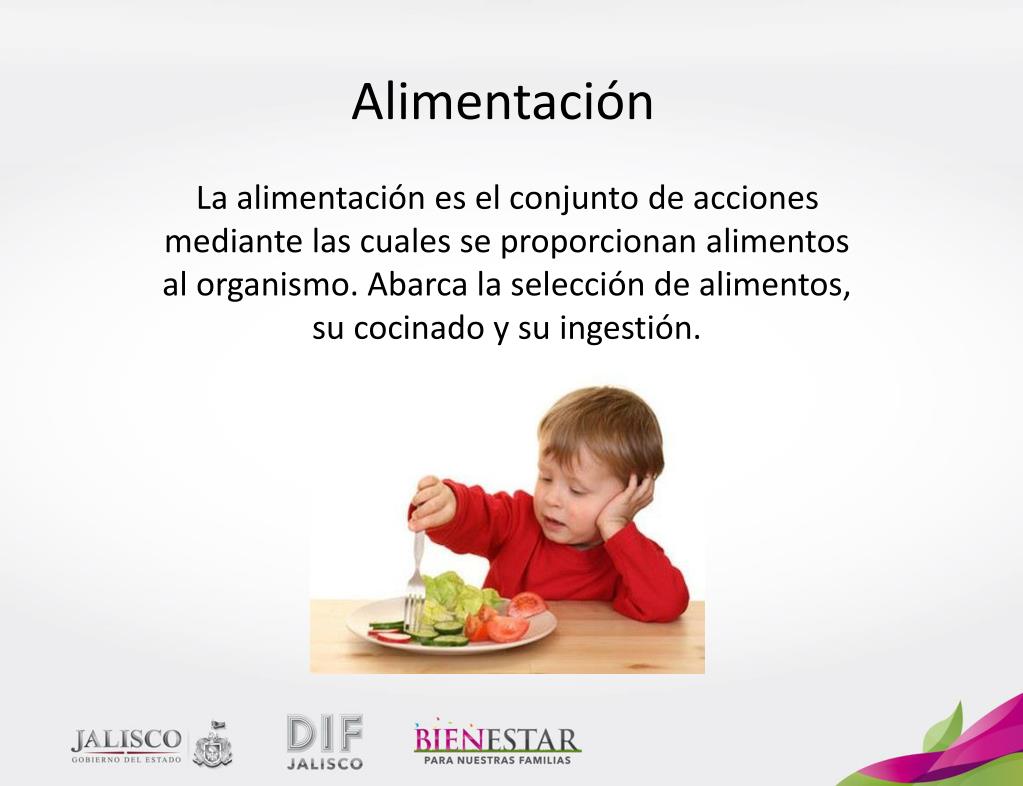 PPT - CONCEPTOS BÁSICOS DE NUTRICIÓN, PLATO DEL BIEN COMER Y GRUPOS DE ...