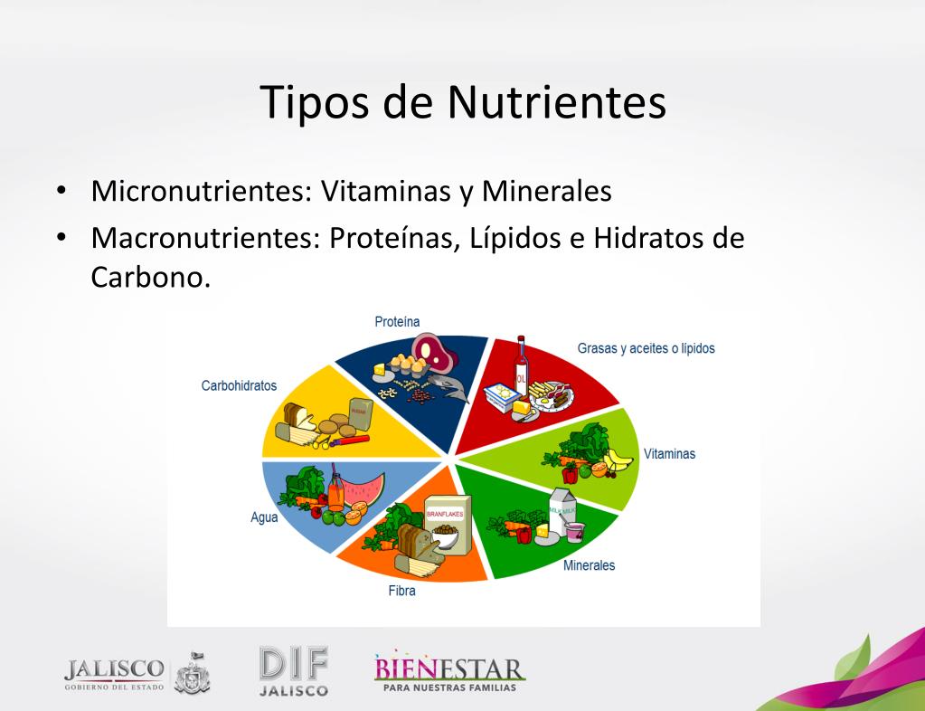 PPT - CONCEPTOS BÁSICOS DE NUTRICIÓN, PLATO DEL BIEN COMER Y GRUPOS DE ...