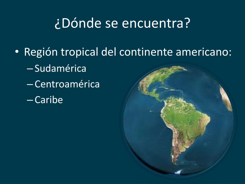 PPT - Biorregión Neotropical PowerPoint Presentation, free download ...