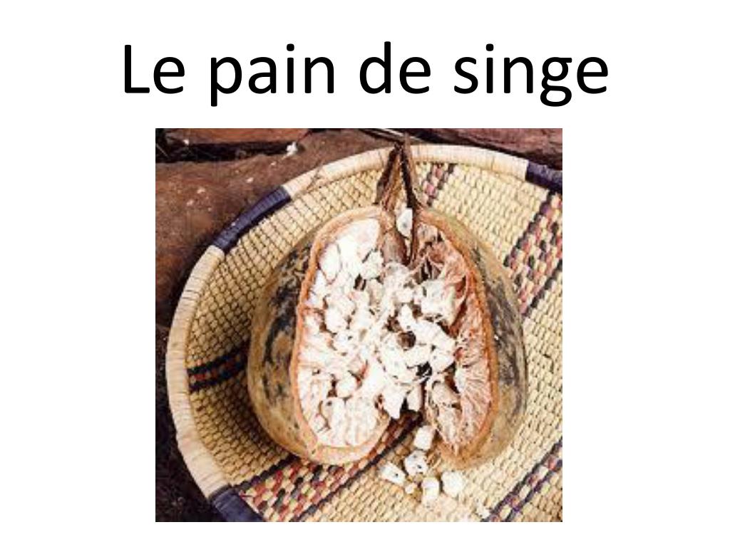 PPT - Le Sénégal p . 216-219 PowerPoint Presentation, free download ...
