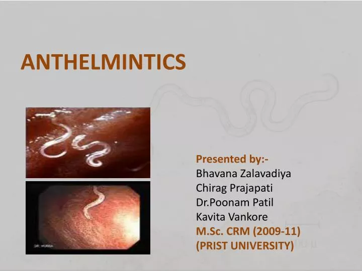 PPT - ANTHELMINTICS PowerPoint Presentation, free download - ID:1925959