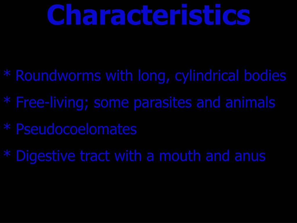 PPT - Invertebrate Phyum NEMATODA (Roundworms) PowerPoint Presentation ...