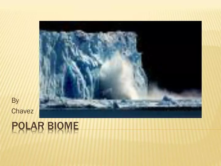 PPT - Polar Biome PowerPoint Presentation, free download - ID:1926126