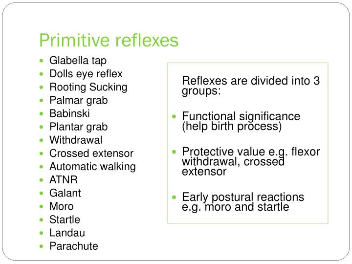 PPT - Primitive Reflexes in the baby PowerPoint Presentation - ID:1926572