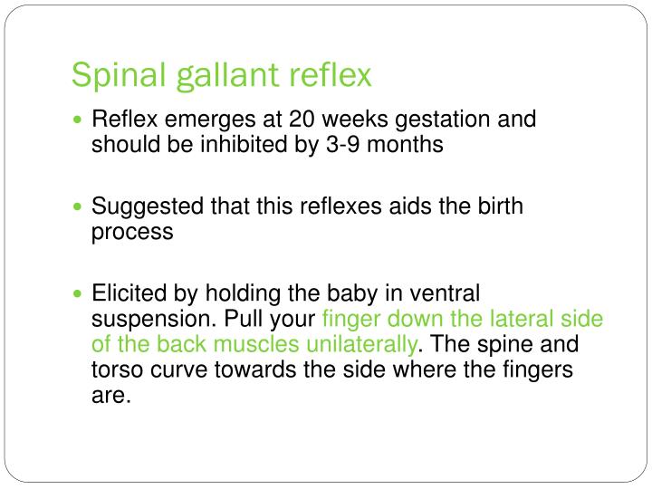 PPT - Primitive Reflexes in the baby PowerPoint Presentation - ID:1926572