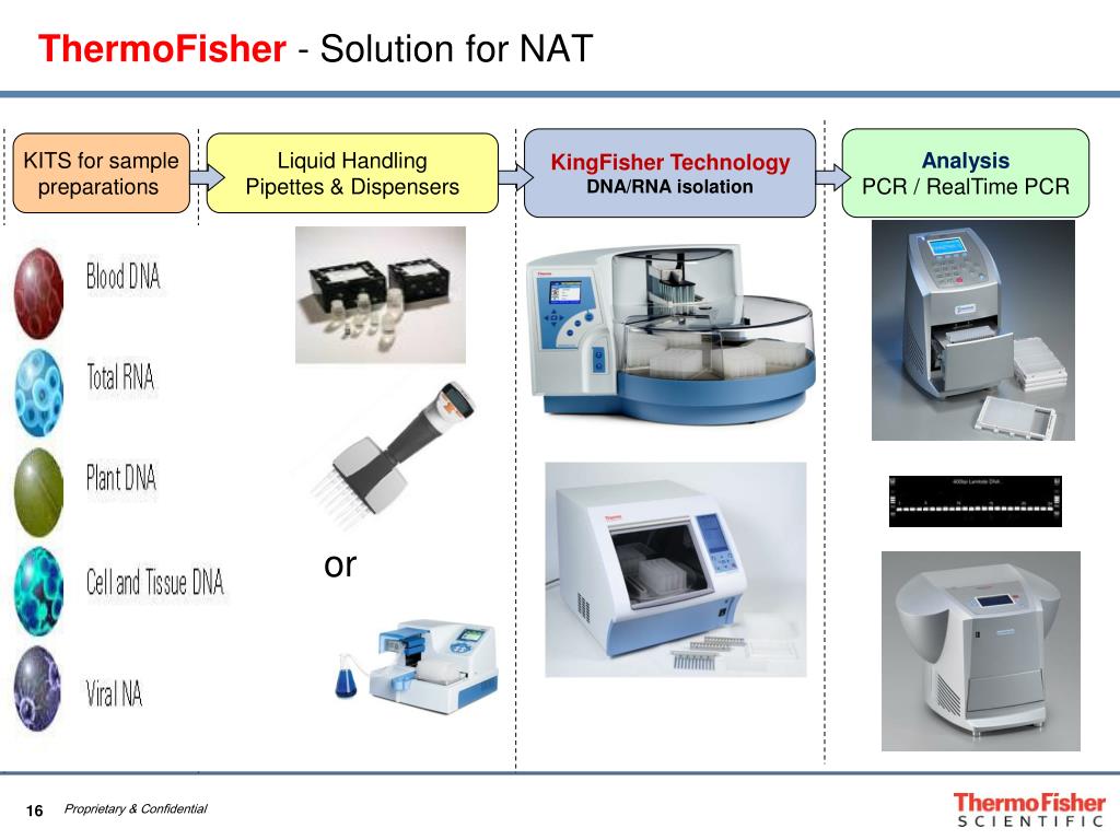 PPT - Thermo Scientific Blood Banking Solutions PowerPoint Presentation ...
