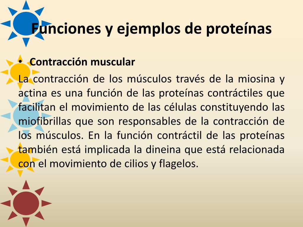 PPT - Universidad Nacional de Ingeniería UNI-RACS PowerPoint ...